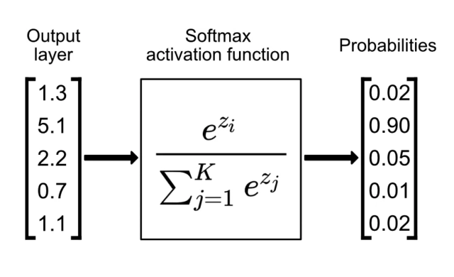 Data Science Practice | Raphael Cousin Teaching